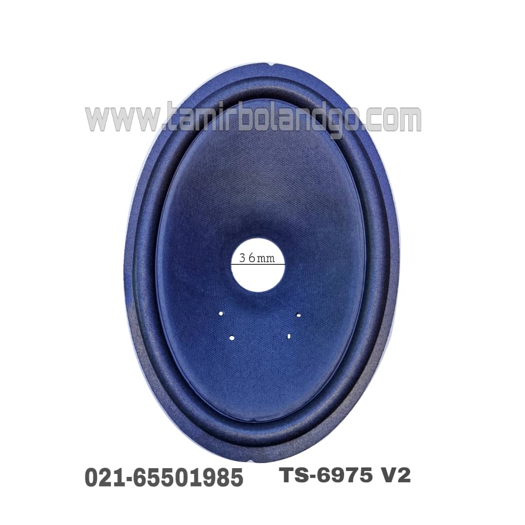 دیافراگم باند 6975 V2 صفحه اسپیکر ووفر 6975V3 پایونیر 2020